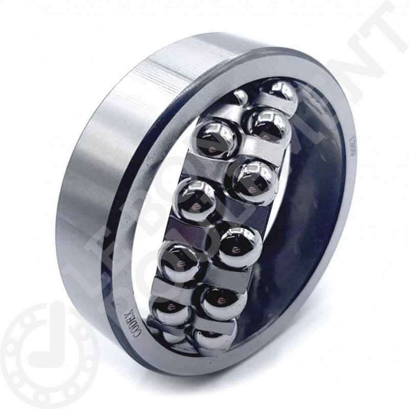 Roulement à rotule sur billes 1309 | Le Bon Roulement