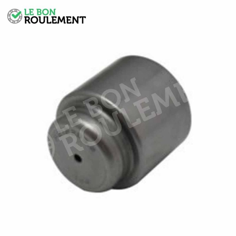 Douille à aiguilles F212285.2 | Le Bon Roulement