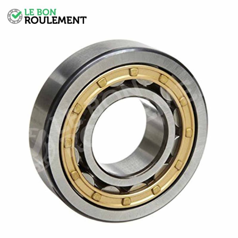 Roulement à rouleaux cylindriques NU319-ECM-C3-VL0241-SKF | Le Bon ...
